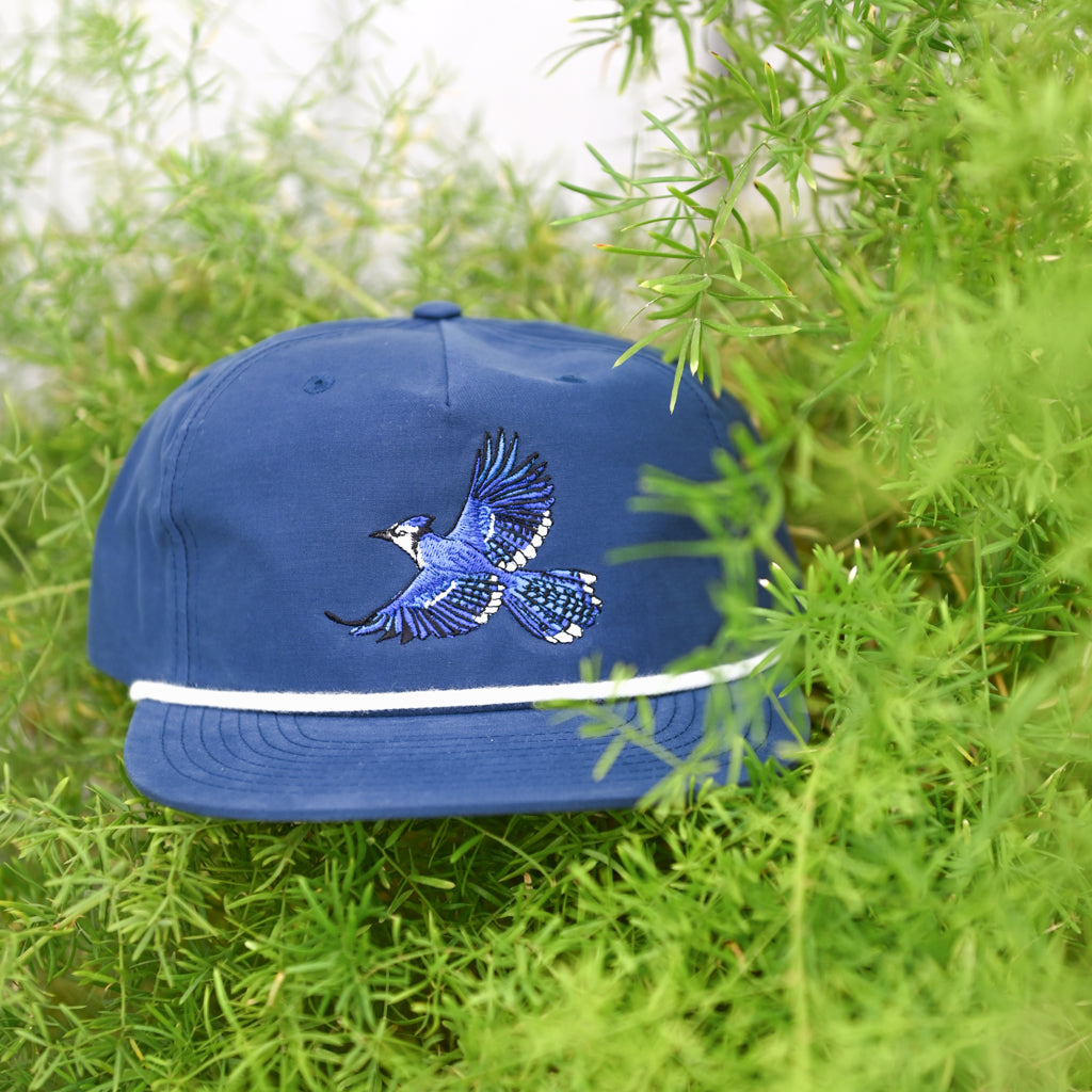 Blue Jay Hat – Mulhall's Merch