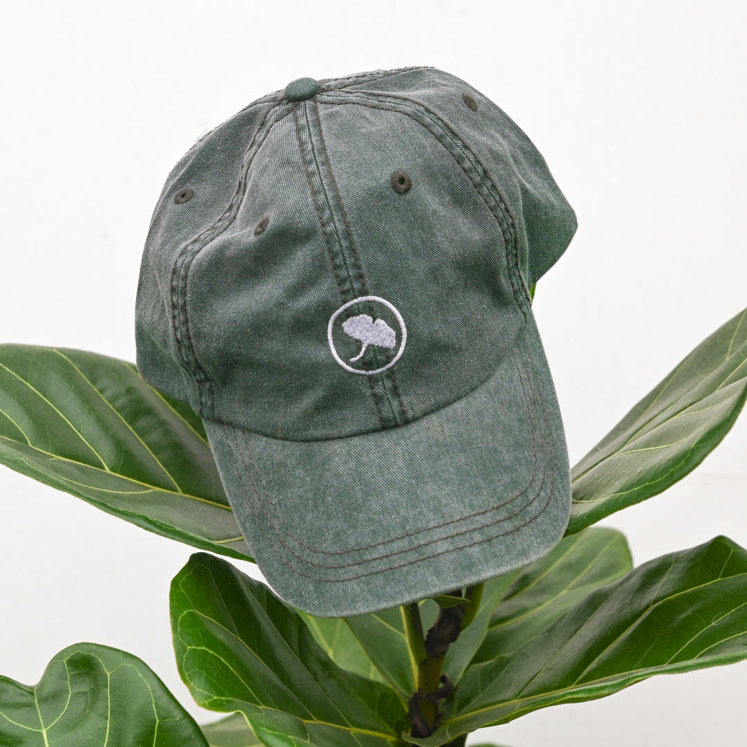 Ginkgo Twill Hat – Mulhall's Merch
