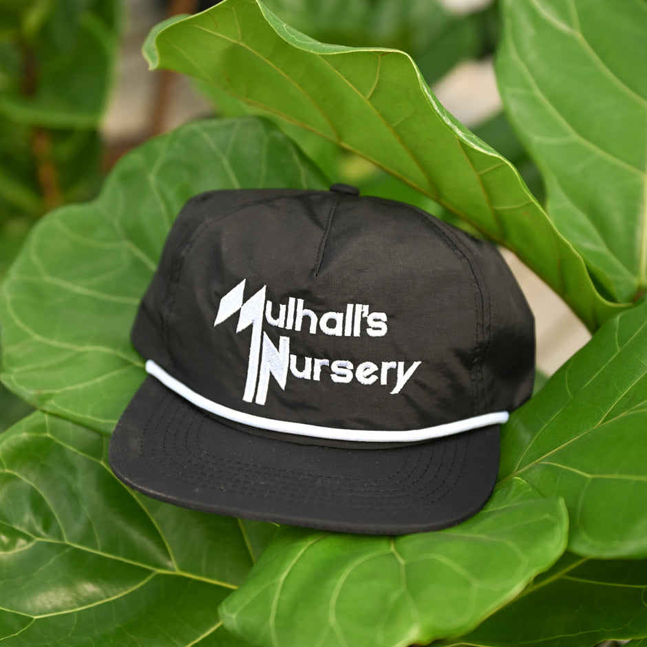 Mulhall's Merch
