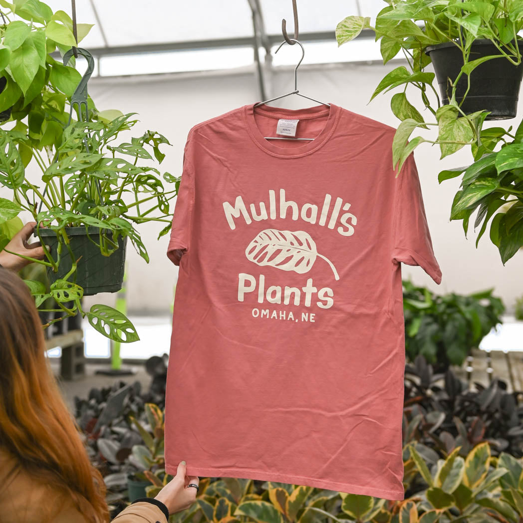 Mulhall's Merch
