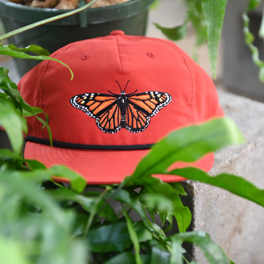 Monarch Butterfly Hat – Mulhall's Merch